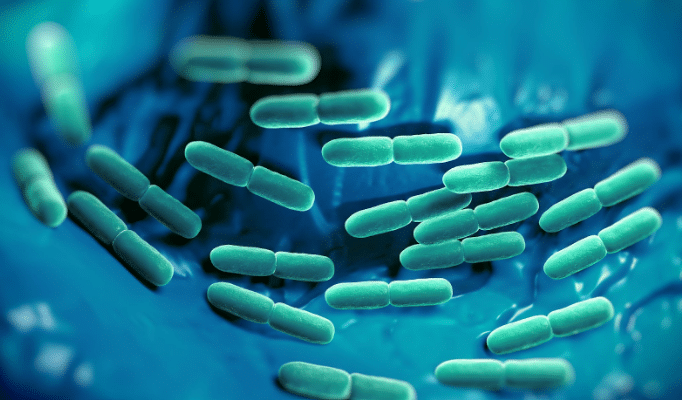 Microbes in Beer: What You Need To Know | CosmosID