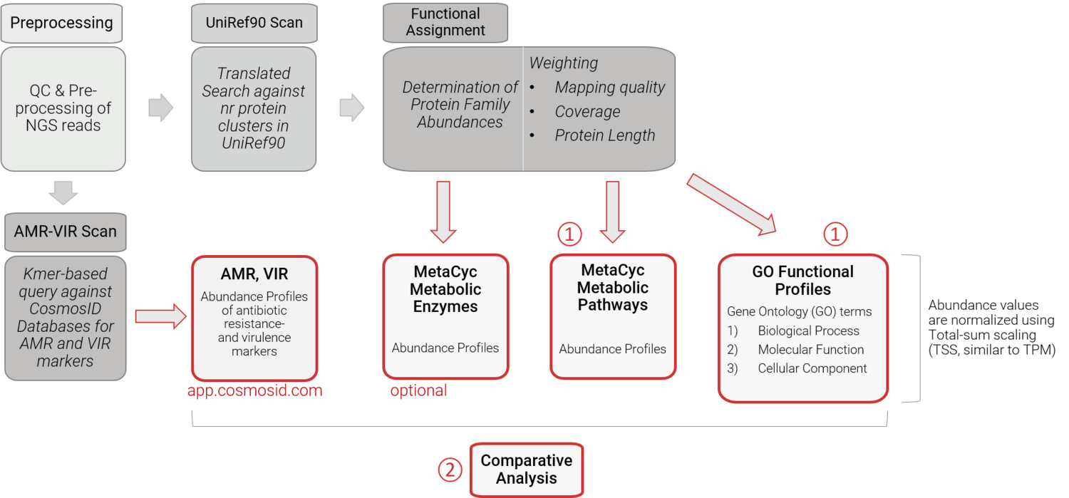 Functional Metagenomics and Metatranscriptomics - CosmosID