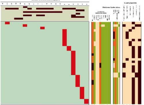 Literature - CosmosID