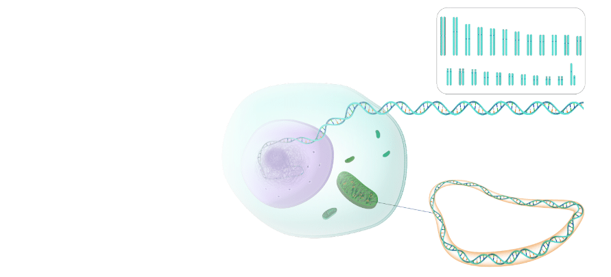 The Difference Between Genomics & Metagenomics Explained | CosmosID