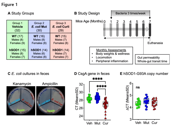 Literature - CosmosID