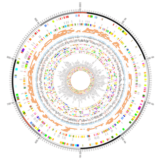 CosmosID Announces New Long-Read and Hybrid Bacterial Genome Sequencing ...