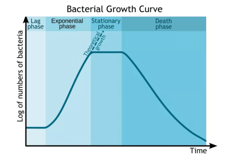 A Guide To Microbial Growth Stages & Sequential Order | CosmosID